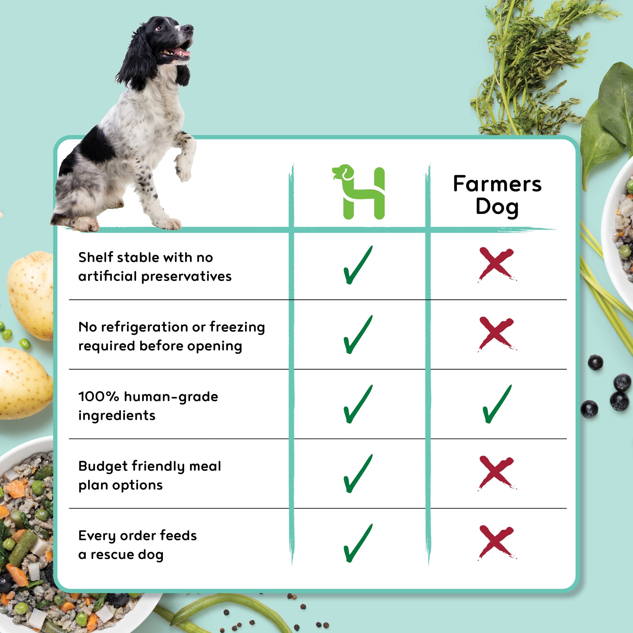 3-Carton Sample Pack (6 Meals) – Happy Howl